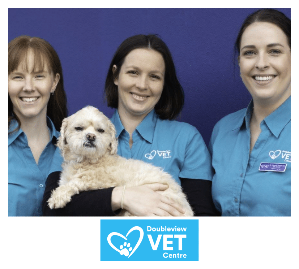 Veterinary and Community Care