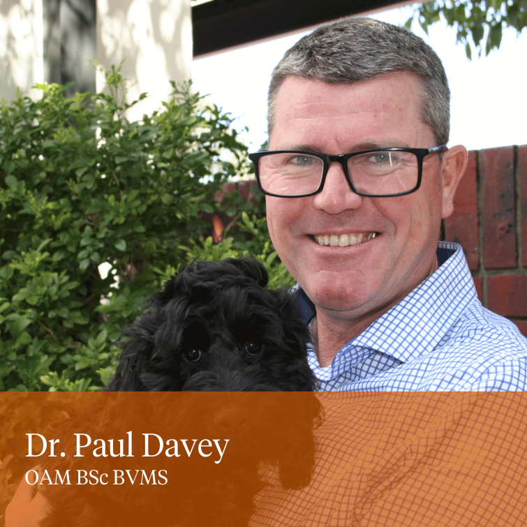 Who we are – Veterinary and Community Care